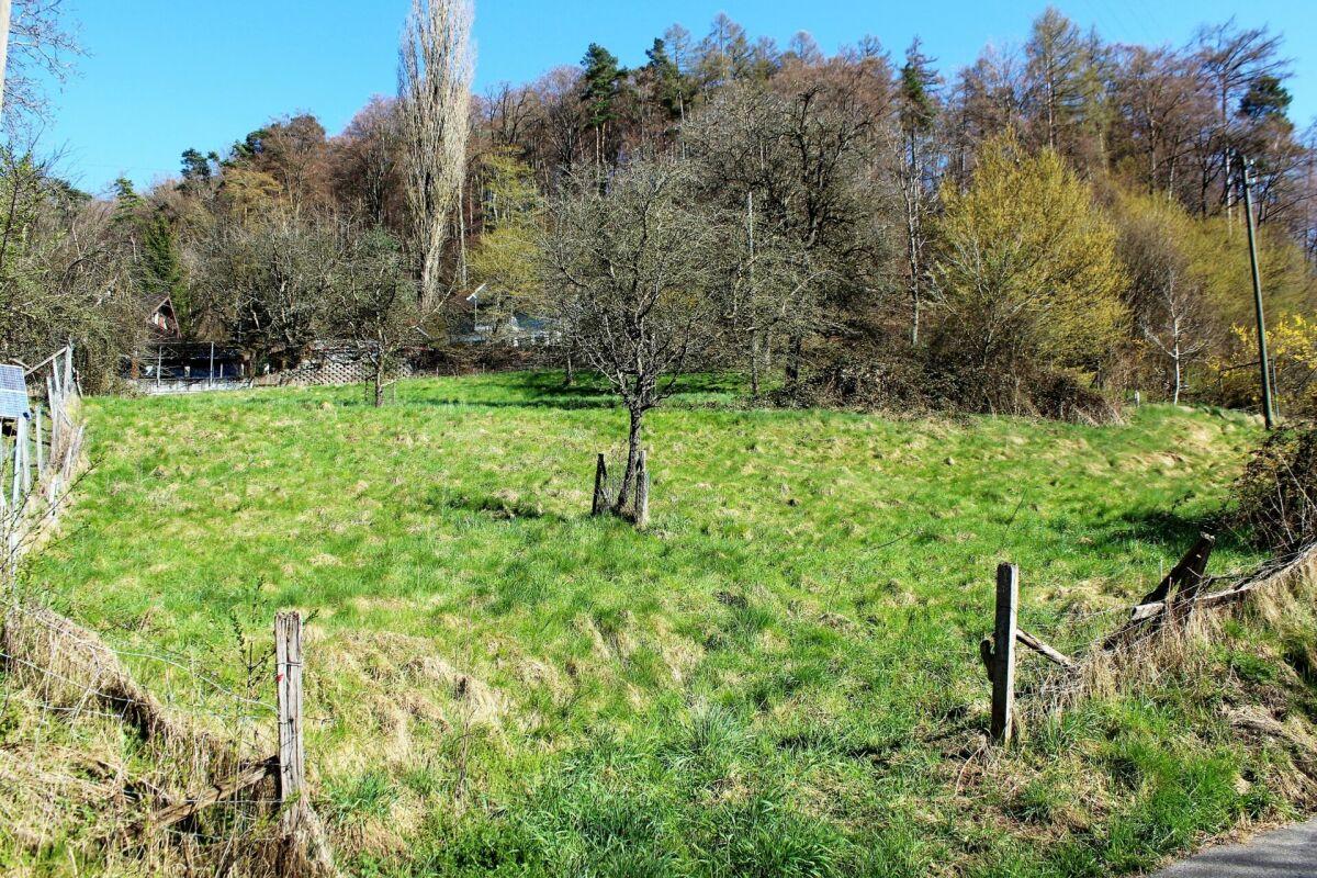 Bauland in Moosleerau, Ausserdorfstrasse, CHF 325 | Houzy
